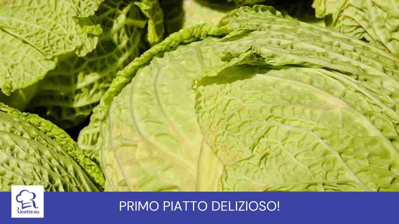 Con la verza non si fa solo il riso: prova questo primo facile e ...